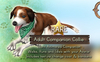 Second Life Marketplace - JIAN Countryside Collies :: Adult Companion ...