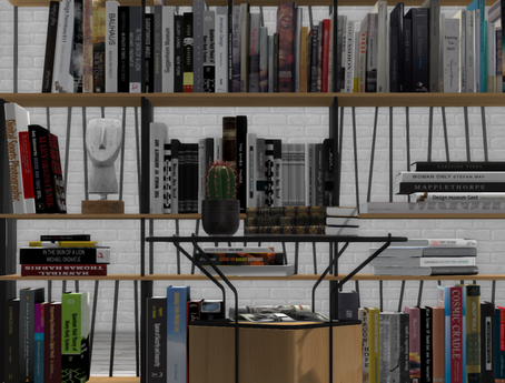 Second Life Marketplace - F011 Library Icon