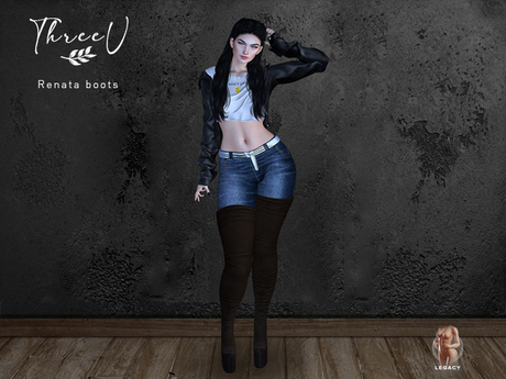 Second Life Marketplace - 3V - Renata Boots PVC shinny FatPack