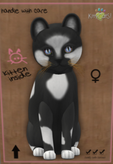 Second Life Marketplace - KittyCatS Box - New Born Kitten - Chateau Cat ...
