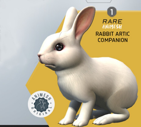 Second Life Marketplace - [Rezz Room] Rabbit Arctic Animesh (Companion ...