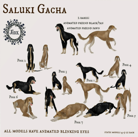Second Life Marketplace - Jinx : Saluki Gacha Pose 6 FAWN - REZZ to unpack