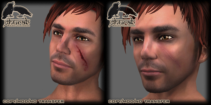 Second Life Marketplace - Wound to scar - Cheek