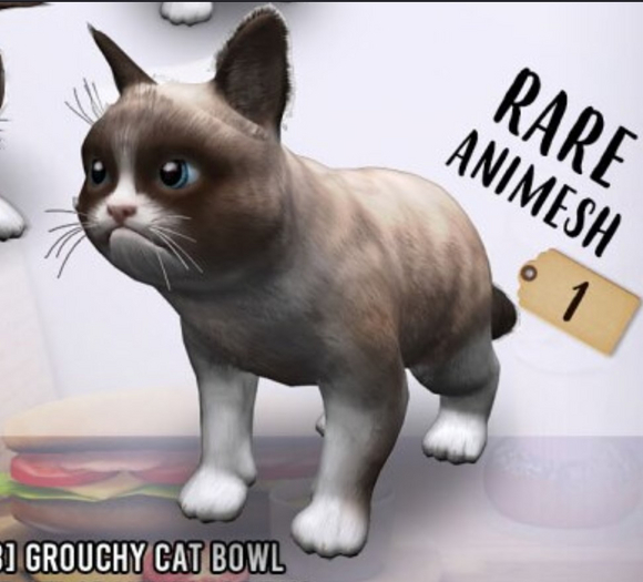 Second Life Marketplace - [Rezz Room] Pack Grouchy Cat Animesh ...