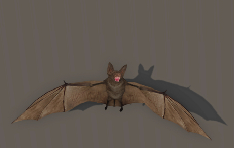 Second Life Marketplace - H2 - Animated Bat Mesh(pose hand bento)Sound ...