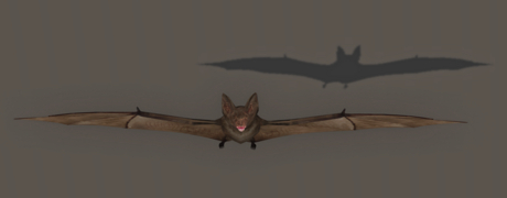 Second Life Marketplace - H2 - Animated Bat Mesh(pose hand bento)Sound ...