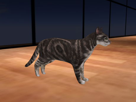 Second Life Marketplace - (fd) Cat - 01 Standing