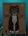 Second Life Marketplace - Genesis - Ginger II