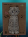 Second Life Marketplace - Toyger - Snow