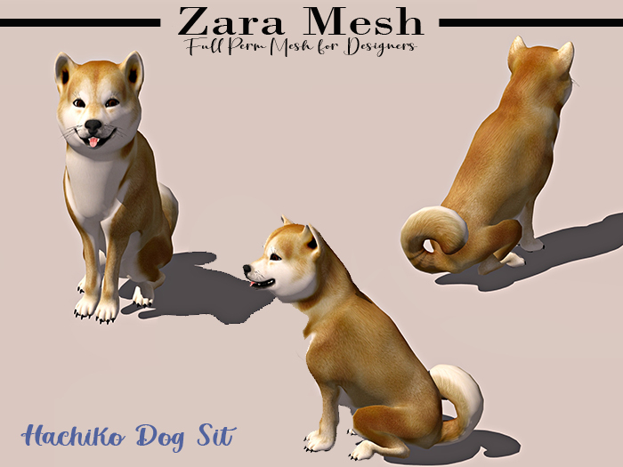 Second Life Marketplace - ZM - Animals - Hachiko Dog Sit - FULL PERM MESH