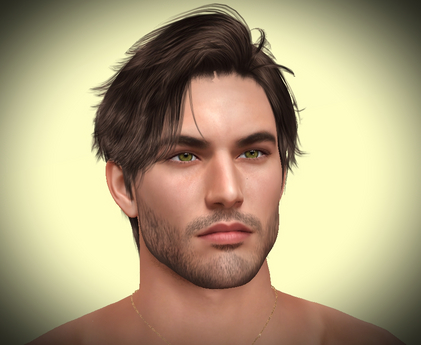 Second Life Marketplace - Apolo777 [AK] JAKE ADVX Head + Athletic ...