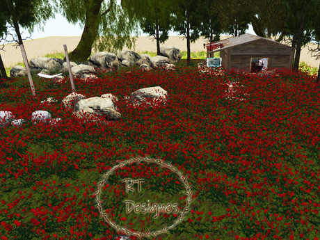 Second Life Marketplace Trills Red Tulips