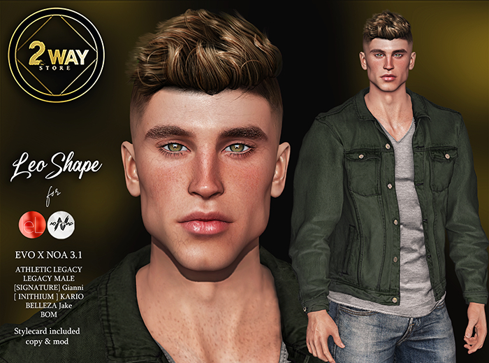 Second Life Marketplace - 2way - Leo Shape for Lelutka Evo X NOA Head 3 ...