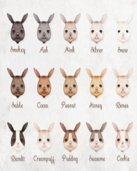 Second Life Marketplace - BB:: Winter Bunny Gacha (silver)