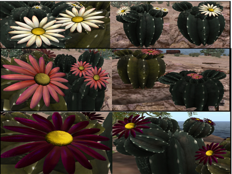 Second Life Marketplace - EPITOME of Design Barrel Cactus Collection
