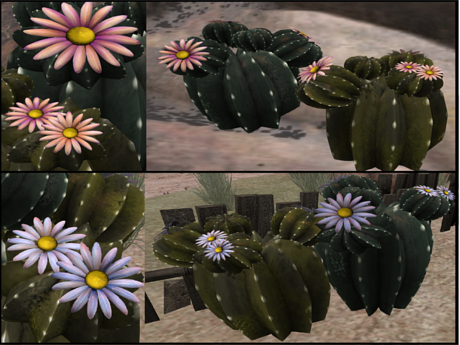 Second Life Marketplace - EPITOME of Design Barrel Cactus Collection