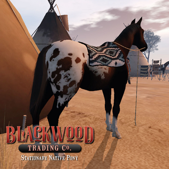 Second Life Marketplace - [Timber Creek] Native Pony-Bay Appaloosa
