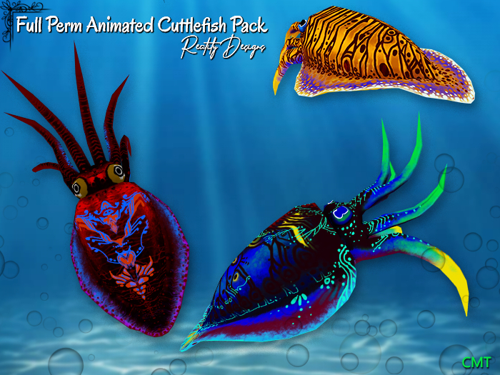Second Life Marketplace - Full Perm Animated Swimming Cuttlefish Pack