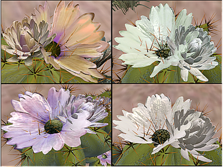 Second Life Marketplace - EPITOME of Design Barrel Cactus 2 Collection