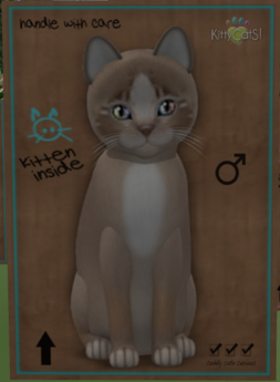 Second Life Marketplace - KittyCatS Box