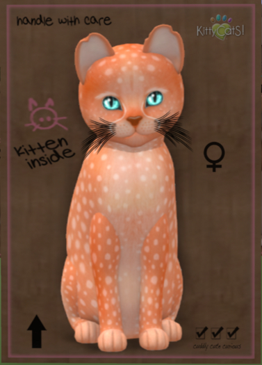 Second Life Marketplace - KittyCatS Box