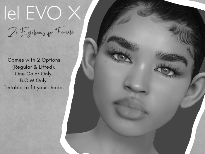 Second Life Marketplace - Ze Brows EVOX // Female DEMO