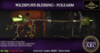 Second Life Marketplace - Wildspur's Blessing - Staff polearm (UM v2.5 ...