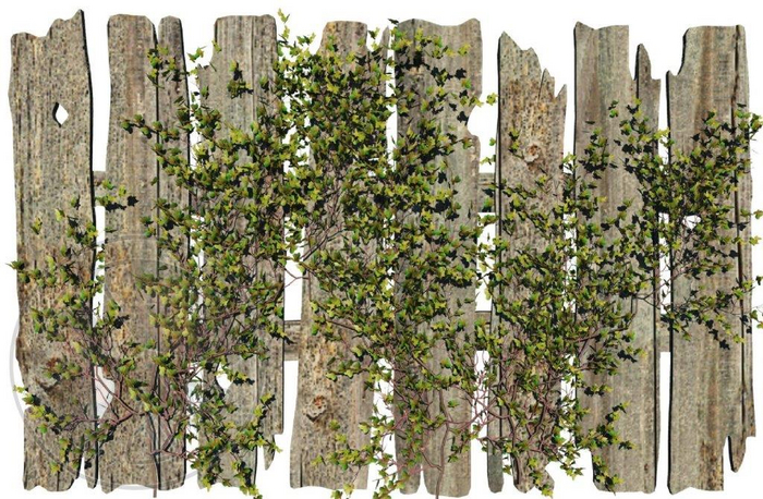 Second Life Marketplace - 396 - Wooden Fence with Ivy - Gate - Garden ...