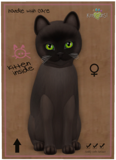 Second Life Marketplace - KittyCatS Box - Burmese - Sable - Toy