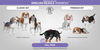 Second Life Marketplace - SEmotion Libellune English Beagle Companions ...