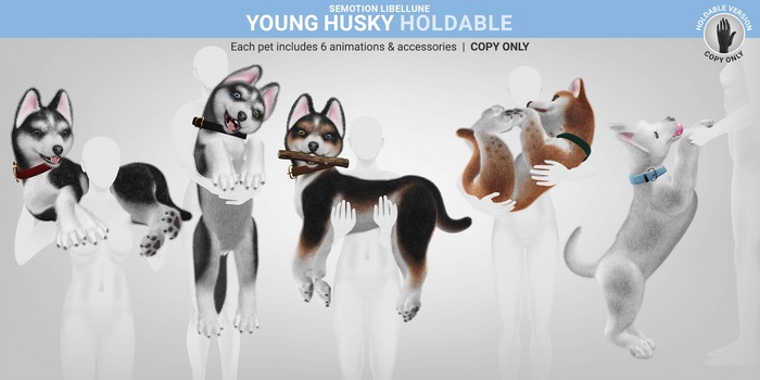 Second Life Marketplace - SEmotion Libellune Young Husky Holdable [FULL ...