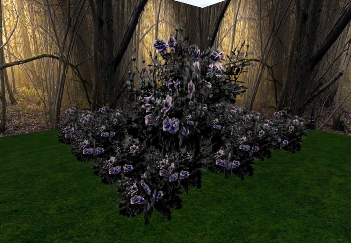 Second Life Marketplace - rose bush gothic purple pink 3 huge