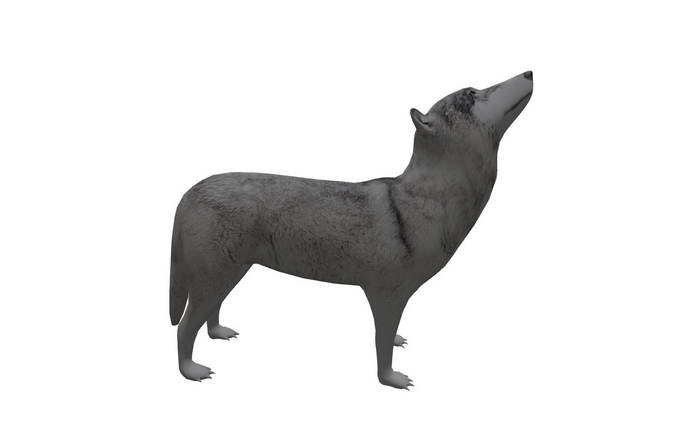 Second Life Marketplace - (AURA) GRAY WOLF