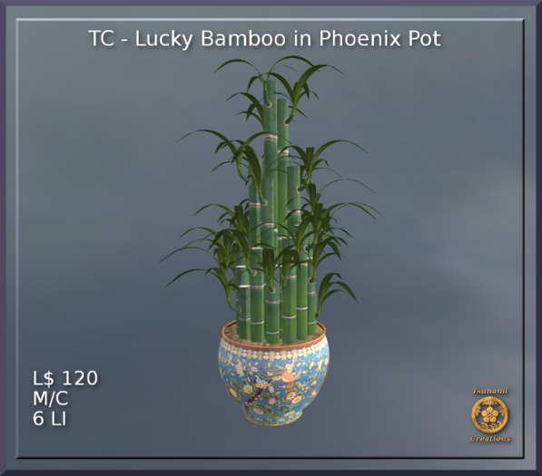 Second Life Marketplace - Lucky Bamboo in Phoenix Pot