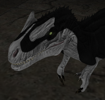Second Life Marketplace - GC - GE Allosaurus Black + Inverted Husky