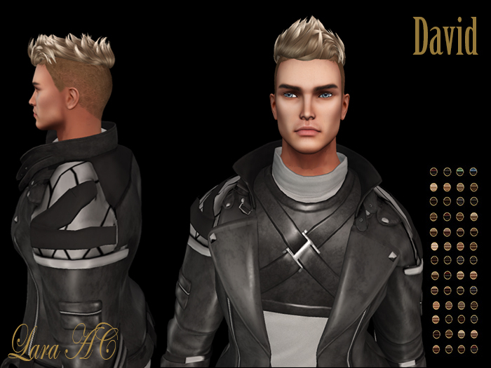 Second Life Marketplace - Lara AC Male Hair DAVID & Hairbase