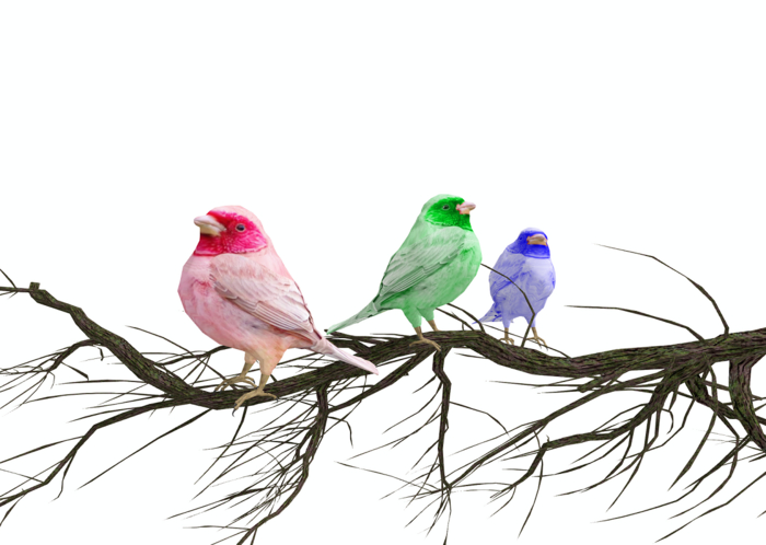 Second Life Marketplace - Blue Rosefinch
