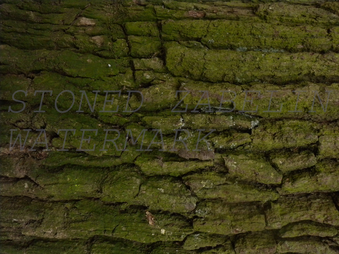 Second Life Marketplace - full perm texture photo 5799, green wood ...