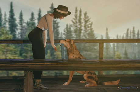 Second Life Marketplace - SYNNERGY.TAVIS// Fetch Pose - ADD TO UNPACK