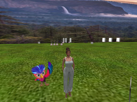 Second Life Marketplace - Animated Greeter Bird easy setup script ...
