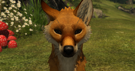 Second Life Marketplace - WuffStuff TWI Fox Red Foxies No. 1