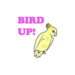 Second Life Marketplace - Bird Up meme / 2 gestures
