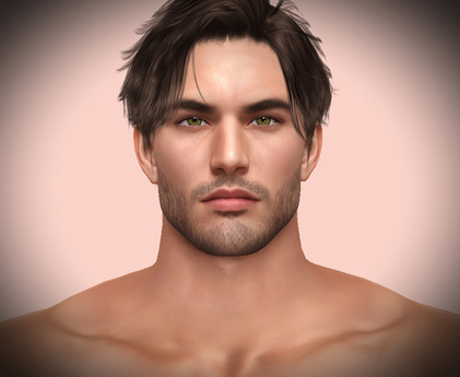 Second Life Marketplace - SHAPE for [AK] JAKE ADVX Head and [Signature ...