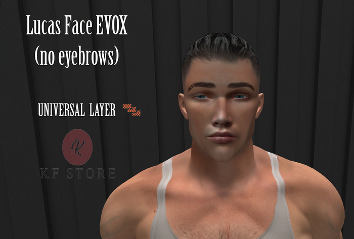 Second Life Marketplace - KF Lucas Face Skin EVOX - universal