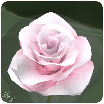Second Life Marketplace - MMM-Single Pink Rose (anima)