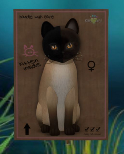 Second Life Marketplace - Chimera - Seal Point Mink