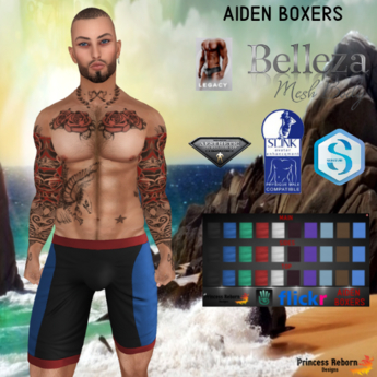 Second Life Marketplace - Aiden Boxers "BOXED"