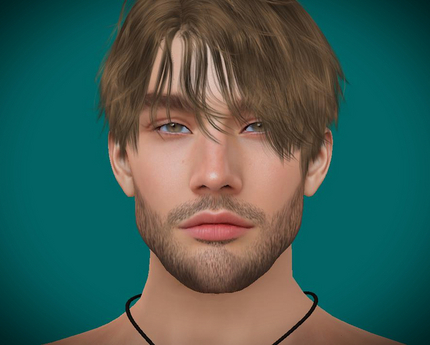 Second Life Marketplace - SHAPE for [AK ADVX] Andro Head and Signature ...