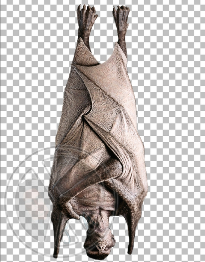 Second Life Marketplace - 511 - Halloween - Scary - Creepy - Human BAT ...