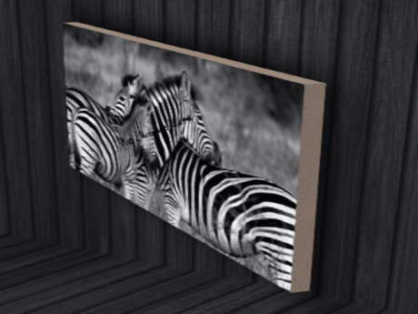 Second Life Marketplace - Zebra Embrace